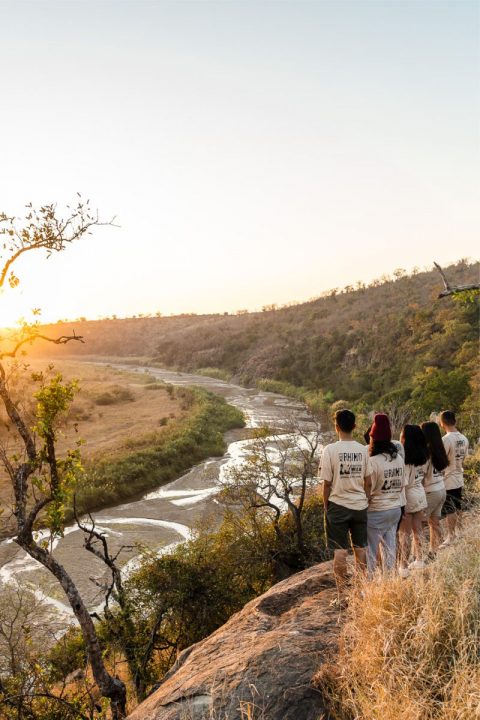 About Us - Wilderness Foundation Africa