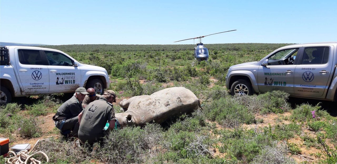 Wilderness Foundation Africa at 50 years - Wilderness Foundation Africa