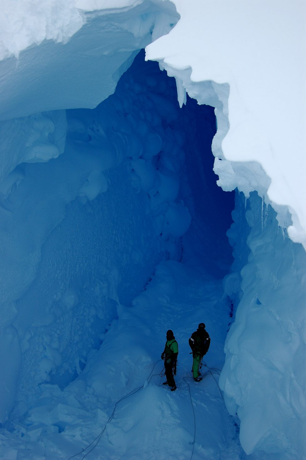 Antarctica’s water wonder - Wilderness Foundation Africa