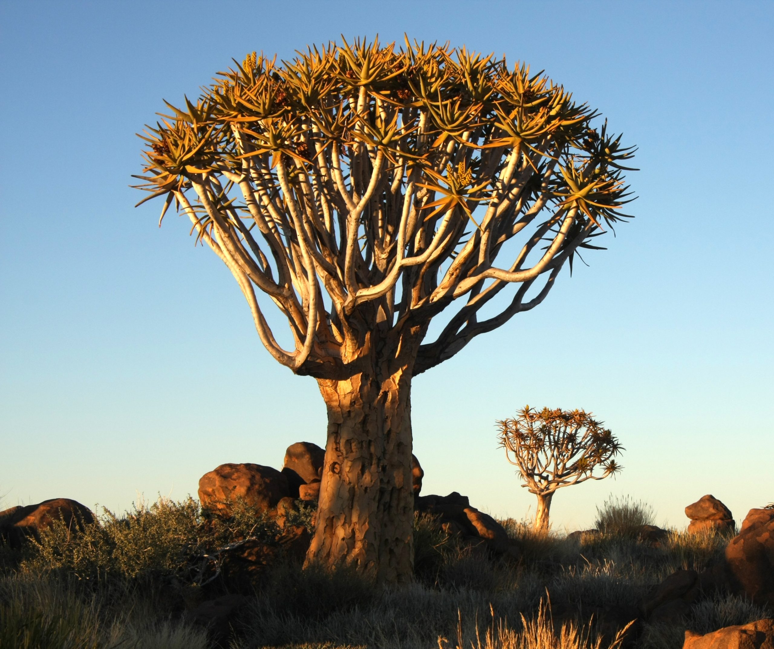 Wilderness Foundation Home - Wilderness Foundation Africa
